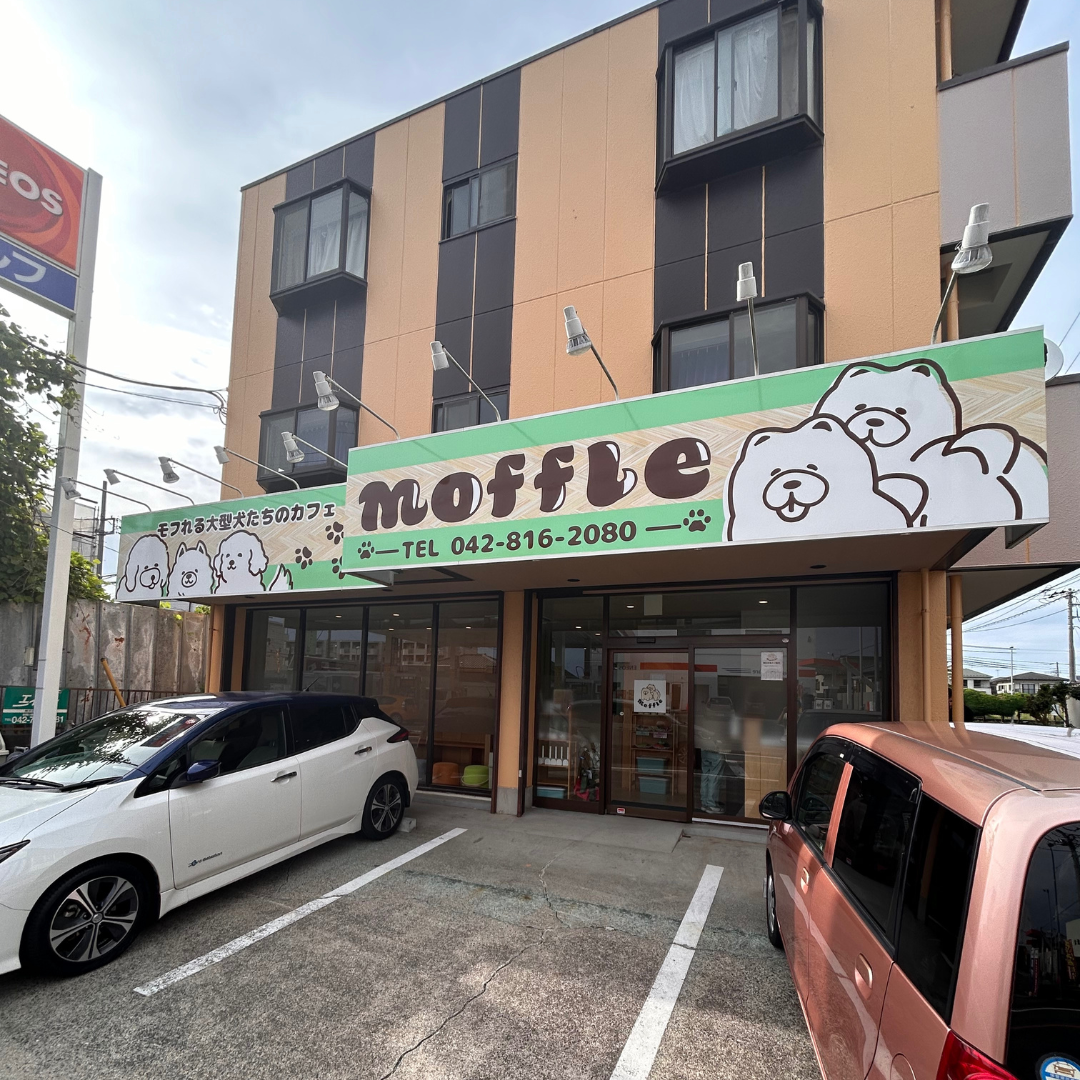 「モフれる大型犬たちのカフェ moffle」相模原にある大型犬カフェを存分に満喫！